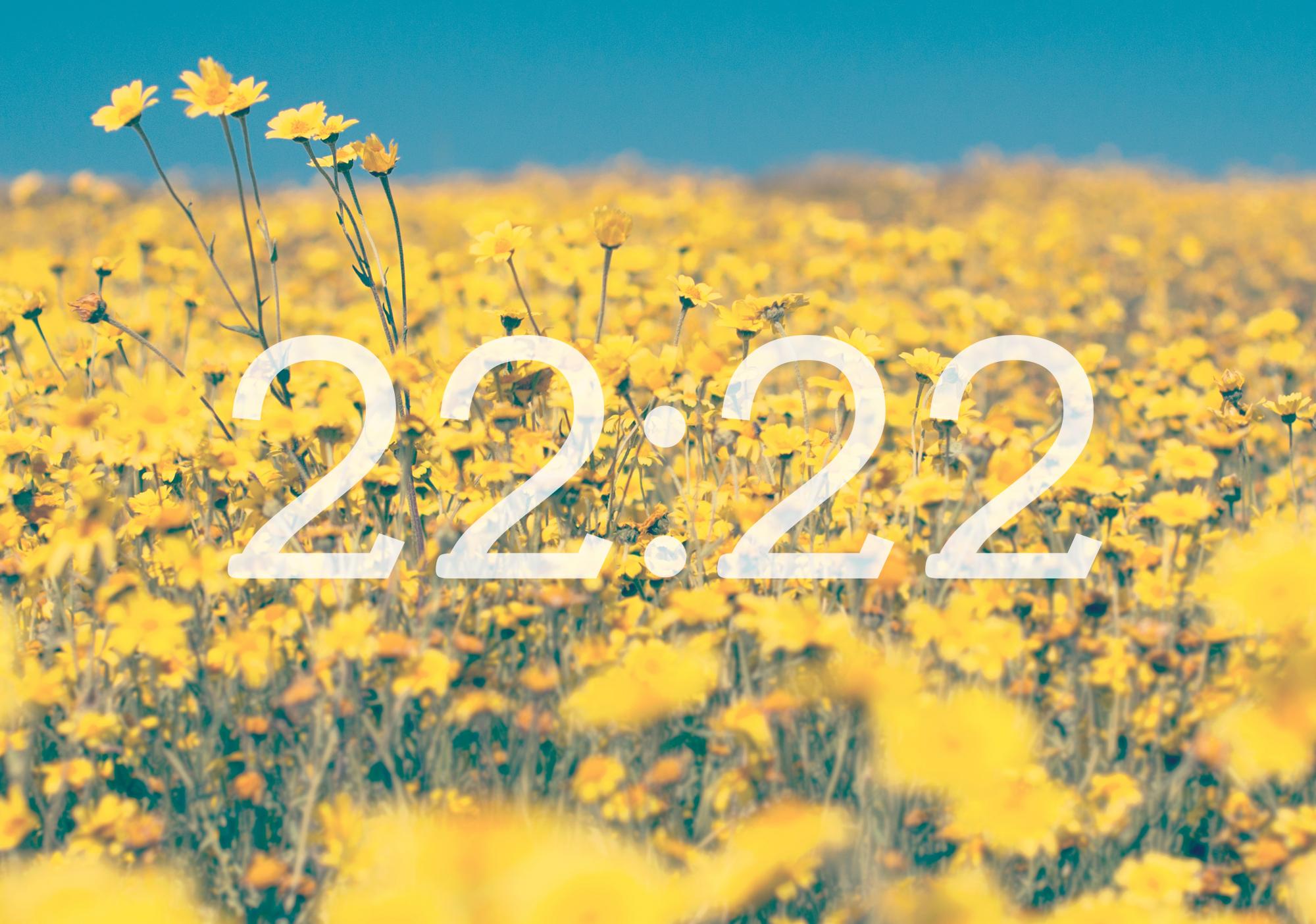 2222 betekenis